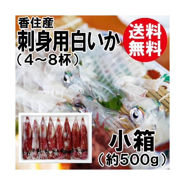 口の中でトロけるほど柔らかく、お刺身は甘くてツルンとした食感がなんとも堪えられません。煮付けや焼いて食べても格別です。■商品内容香住産　白イカ(剣先イカ)　約500g(4〜8杯)■発送方法ヤマト運輸または佐川急便(冷凍便)■送料こちらの商品...