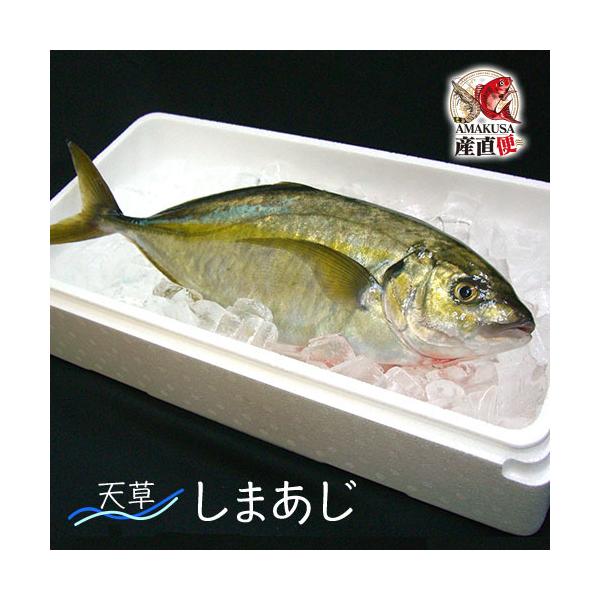 【発売日：2025年01月08日】●商品情報 熊本県天草産 しまあじ●内容量 約1.0kg●原材料 養殖しまあじ（熊本産）●消費期限 出荷日より5日間。●保存方法 要冷蔵（10℃以下）●配送方法　ヤマト運輸クール冷蔵便にてお届けします。●発...