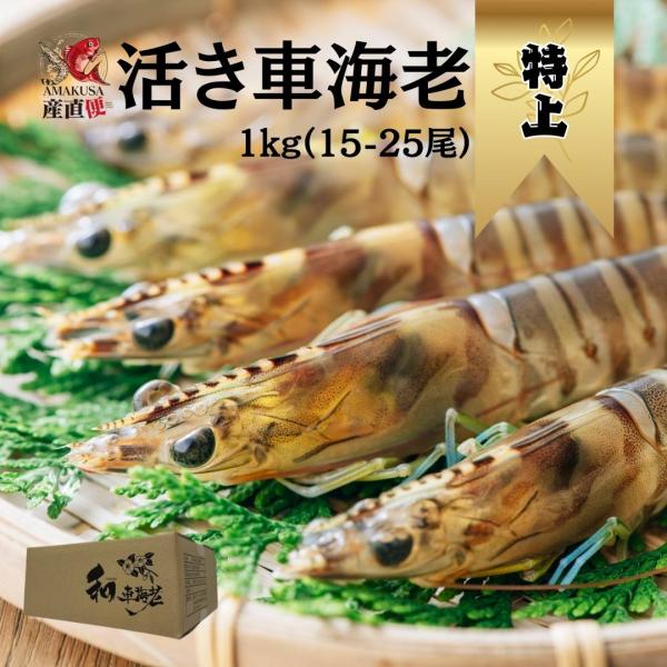 【発売日：2026年11月20日】ぷりっぷりの食感とほのかな甘みの車海老を活きたまま出荷 熨斗対応できます。●商品情報 熊本県天草産 特上活き車海老●内容 1kg　※尾数は大きさにより変動する場合がありますが、合計1kg入りでお届けします。...