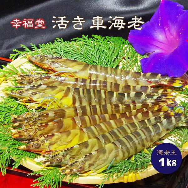 【発売日：2026年11月04日】●商品情報 熊本県天草産活き車海老●内容 1kg※尾数は大きさにより34匹前後で変動する場合がありますが、合計1kg入りでお届けします。●賞味期限 生ものですのでお早めにお召し上がりください。●保存方法 到...