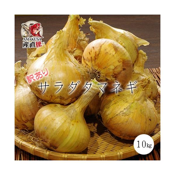 ※順次発送をしています。１日に収穫できる量に限りがありますのでお届けまでにお時間をいただく場合がございます。※本商品はM〜2Lサイズ混合でのお届けです。※形がいびつなもの、二股になっているものなどが含まれます。※2個同時購入の場合、送料は1...