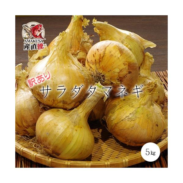 ※順次発送をしています。１日に収穫できる量に限りがありますのでお届けまでにお時間をいただく場合がございます。※本商品はM〜2Lサイズ混合でのお届けです。※形がいびつなもの、二股になっているものなどが含まれます。※2個同時購入の場合、送料は1...