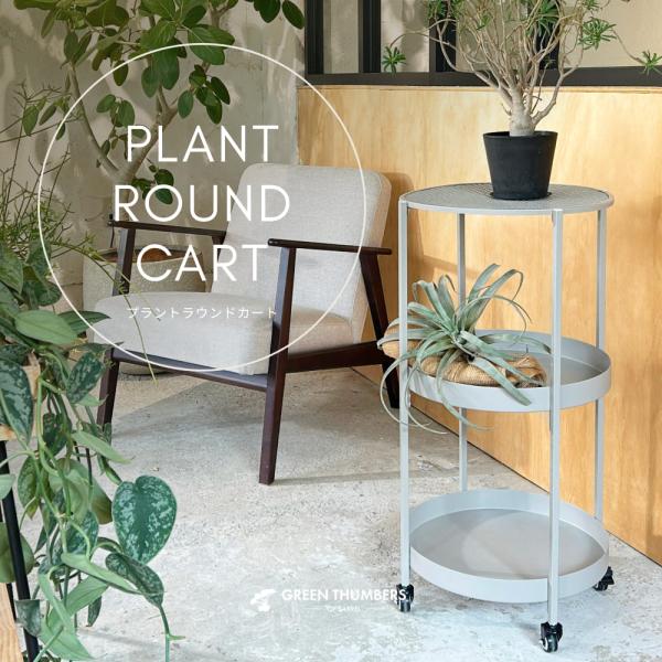 【発売日：2026年02月04日】■ 水やりにも最適、使い勝手のよい3段構造最上段は網仕様で水や土が溜まりにくく、日常の水やりもスムーズ。2・3段目は深さ約4.5cmの棚設計で、バケツやディスプレイアイテムを収めやすい構成となっています。実...