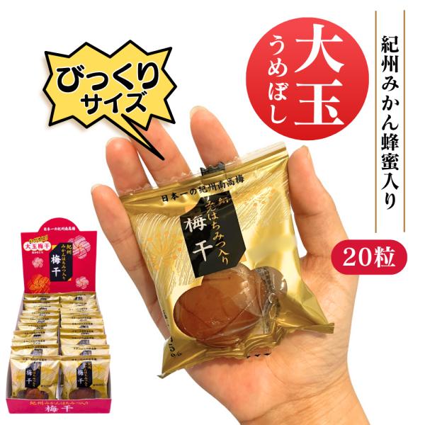 大玉梅干し 酸っぱすぎない梅干し おやつに、オフィスの引出しに、贈り物にも最適 個々包装