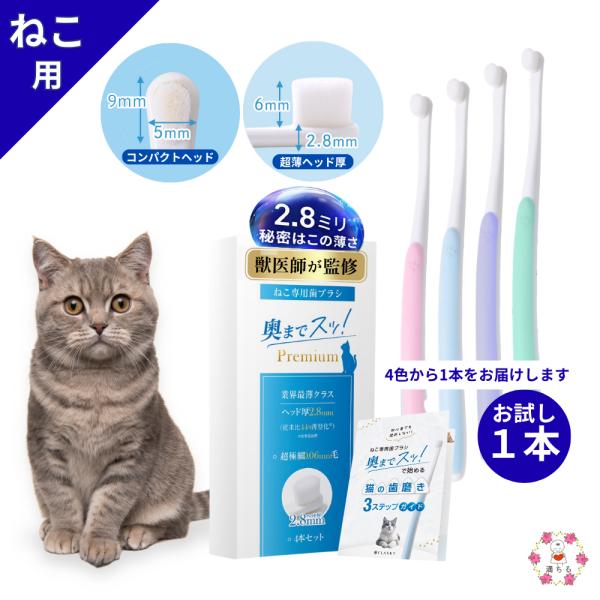 もう、無理やり口を開けさせない。愛猫と飼い主のためのストレスフリー歯ブラシ【奥までスッ！プレミアム】【雑誌猫びより掲載】獣医師監修の安心設計 ！猫口内工学に基づいた「S字ネック」が汚れを的確に捉え、毎日のケアをグッと楽にします。＜５つのこだ...