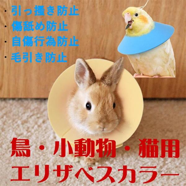このエリザベスカラーは、マウス・デグー・ヤマネ・ウサギ・フェレット・モルモット・チンチラ・モモンガ・ハリネズミ・テンレック・ワラビー・ミーアキャット・オウム ・セキセイ ・インコ ・ハト・ 小鳥の怪我や自咬み毛引き予防するための必需品です。...