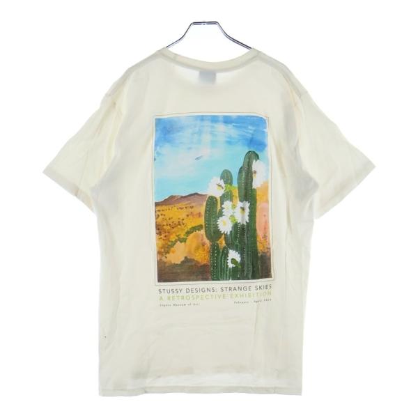 [商品番号]3226A140011[ブランド]STUSSY（ステューシー）[モデル]STRANGE SKIES バックフォトプリント 半袖Tシャツ ホワイト[販売店舗]BRING THRIFT CLOSET