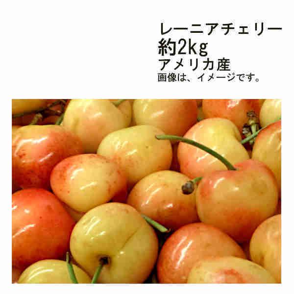 レーニアチェリー　アメリカ