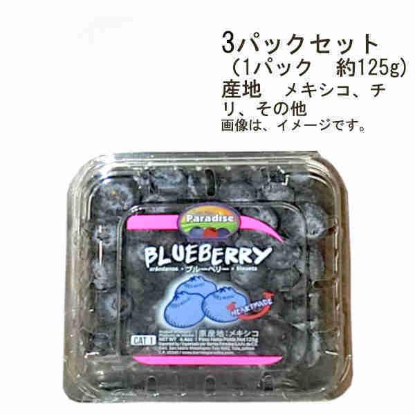 ★北海道、沖縄のみ別途送料が必要となります★ ブルーベリー