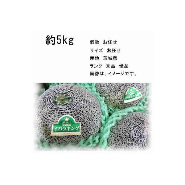 【発売日：2025年05月30日】イバラキングメロン