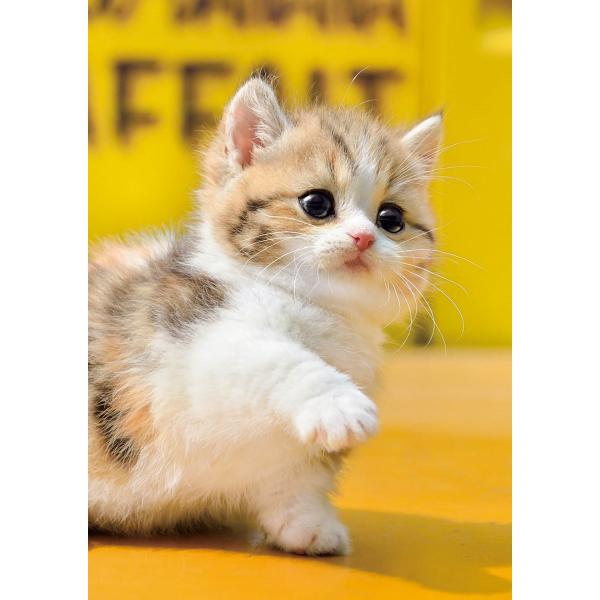 カラー：お手!サイズ：18.2×25.7cmスタイル：108ピース(C)Yoshihisa Fujita/MottoPet/amanaimages完成サイズ:18.2x25.7cm