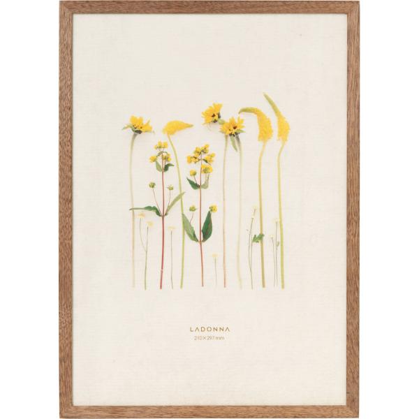 カラー：ブラウンサイズ：A4判スタイル：モダン材質:ウォールナット材内寸:211x298、窓寸:204x291写真サイズ:A4判x1フレーム設置方法:縦横兼用、置掛兼用バックボード取り外し方法:枠内側にはめ込んだストッパーを回転させバックボ...