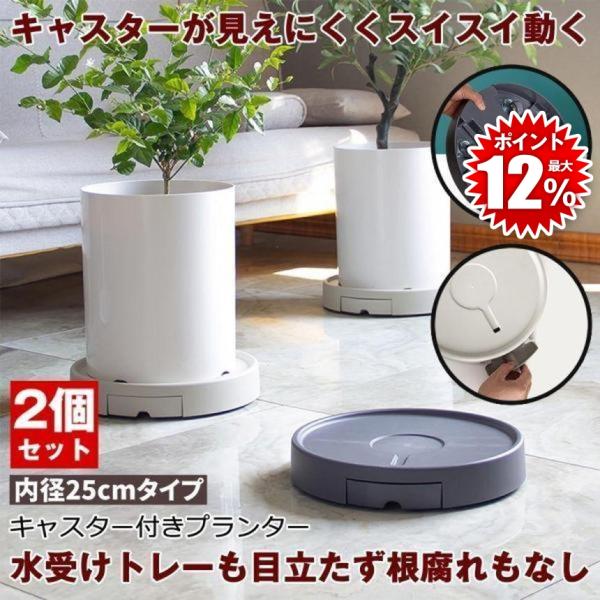 ２個セットです。ブラインドホイールデザインでキャスターを隠し、お部屋の外観を崩さずシンプルでおしゃれに馴染みます。移動もラクラク。360°回転キャスターを採用しており、ステンレスで丈夫、耐荷重も約100kgまでOK。フローリングの床にキズの...