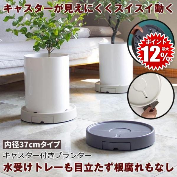 ブラインドホイールデザインでキャスターを隠し、お部屋の外観を崩さずシンプルでおしゃれに馴染みます。移動もラクラク。360°回転キャスターを採用しており、ステンレスで丈夫、耐荷重も約100kgまでOK。フローリングの床にキズのつきにくいゴム製...