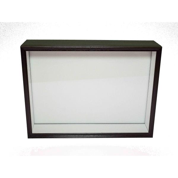 シーラケース シーラ箱 （標準）昆虫標本用品標本箱 ・サイズ：２８０×２０８×７２ｍｍ・中敷き：発泡ポリエチレン・天板：ガラス張り・横枠：プラスチック製・裏面：ベニヤ張り