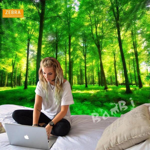 タペストリーは、お部屋を一切傷つけずに、汚さずに、しかも、簡単にリフォーム、アレンジできるアイテムです(^^?賃貸もOK！！マンション?アパートの壁に、合わせて楽しんじゃおう！壁にかけるのはもちろん！家具のカバーや収納ペースの目隠し、テーブ...