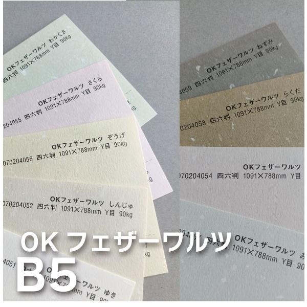 ＜選べる9色＞OKフェザーワルツ　90kgB5サイズ　32枚入厚さ0.14mm　257mm×182mmファンシーペーパー画像と現品とは若干色が異なりますので、ご了承ください。