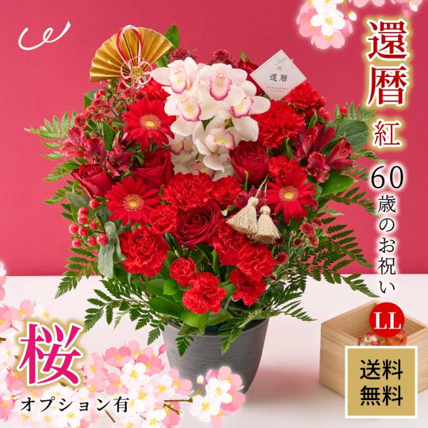 ■商品名・種類祝！還暦「紅」60歳LL〜オーキッド〜■カラー還暦「紅」60歳■サイズ高さ約45cm×幅約40cm■商品説明60歳のお祝いである「還暦」60年で十干十二支（じっかんじゅうにし）が一巡して「もとの暦に還る」ことに由来します。赤い...