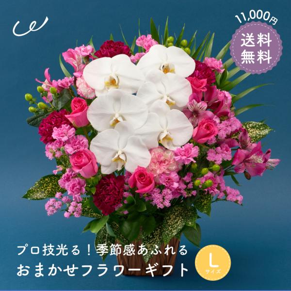 ●商品名・種類【プロ技光る】季節感あふれるフラワーギフトL●選べるカラーおまかせピンク系イエローオレンジ系レッド系パープル系ホワイト系カラフル系●サイズ約58cm×約55cm●素材その季節に最も美しい花や新鮮な花材を使用※季節により蘭の種類...
