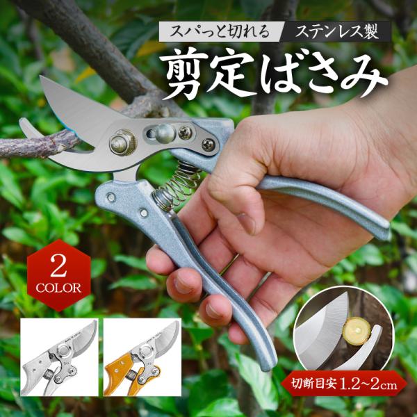 庭木や盆栽のお手入れの必需品！持ちやすい設計でしっかり切りやすい剪定ばさみです！■切れ味抜群のステンレス刃を採用！切れ味よくスパッと切ることができます！錆びにくくお手入れも簡単です◎■最大2cmまでカット可能！細い枝から太い枝まで切ることが...