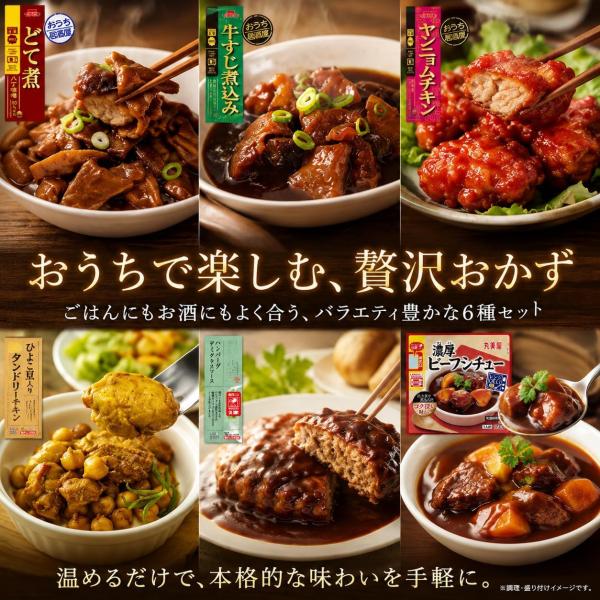レトルトおかず6種。毎日の食卓や仕送りに【セット内容／各1個・計6個】・おうち居酒屋 どて煮・おうち居酒屋 牛すじ煮込み・おうち居酒屋 ヤンニョムチキン・tabete ひよこ豆入りタンドリーチキン・tabete ハンバーグ デミグラスソース...
