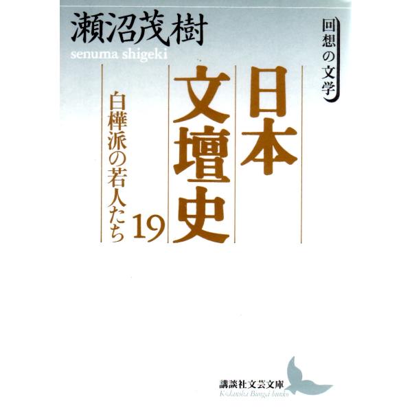瀬沼　茂樹  著   講談社文芸文庫                                              ■体裁＝文庫判■1997年12月10日　第1刷ヒヤケ・シミなどの汚れ・傷みがあります。