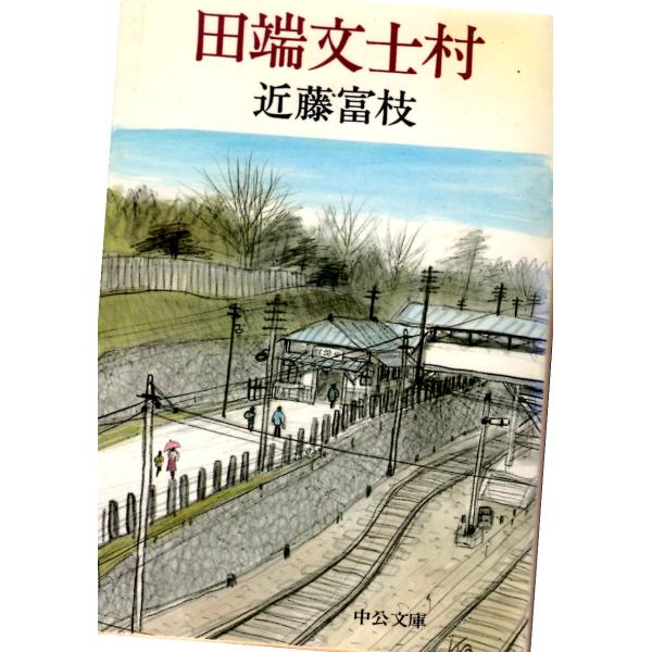近藤富枝 著体裁＝文庫判発行日　1983/10/10　初版ヒヤケ・シミなどの汚れ・傷みがあります巨星芥川の光芒のもとに集う犀星、朔太郎、堀辰雄ら多くの俊秀たち。作家・芸術家たちの濃密な交流を活写する澄江堂サロン物語
