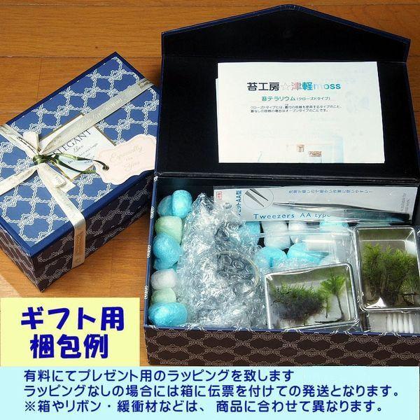 苔テラリウム プレゼント用ラッピングプレゼント用ラッピングご希望の方は、こちらもご購入ください。＊ラッピングのみの購入はできません。（苔テラリウムのラッピングです。）