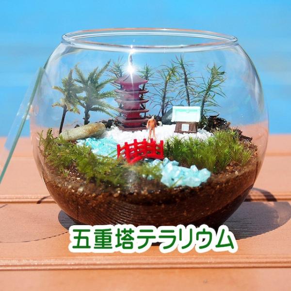 五重塔【苔テラリウム・手作りキット一式】日本情景 ２-５日で発送予定（サイズ 縦7.8cm×横10×奥行き10)苔をはじめ、ガラス容器や材料・作り方のしおりの必要な材料が一式揃っているので初めての方もとても簡単に安心してお作りいただけます♪...