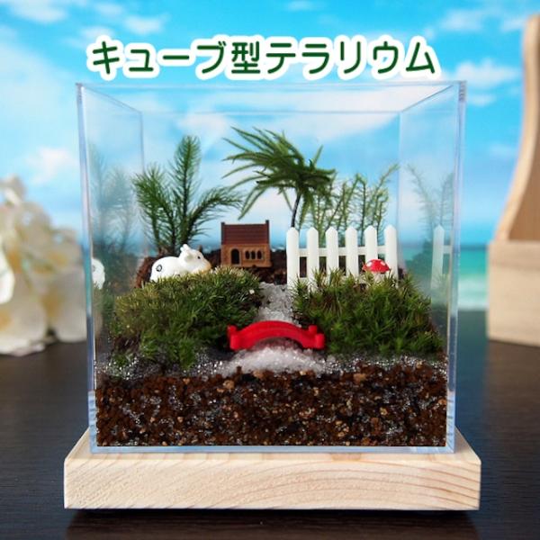 苔テラリウム・手作りキット一式＊サイズ約縦9cm×横9×奥行9店頭販売にて大好評の苔テラリウムをキットにしました苔をはじめ、容器や材料・作り方のしおりの必要な材料が一式揃っているので初めての方もとても簡単に安心してお作りいただけます製作時間...