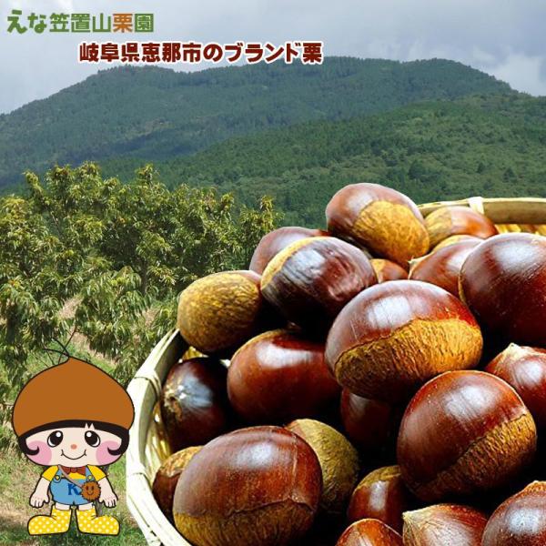 岐阜県の恵那地方は、良質な栗の産地として知られています。ブランド栗として特定の契約先に出荷している、プレミアムな和栗です。特に「えな笠置山栗園」で栽培される栗は内陸部、高標高、日寒暖差が大きく、甘みと風味がある栗と評判です。栗きんとんで有名...