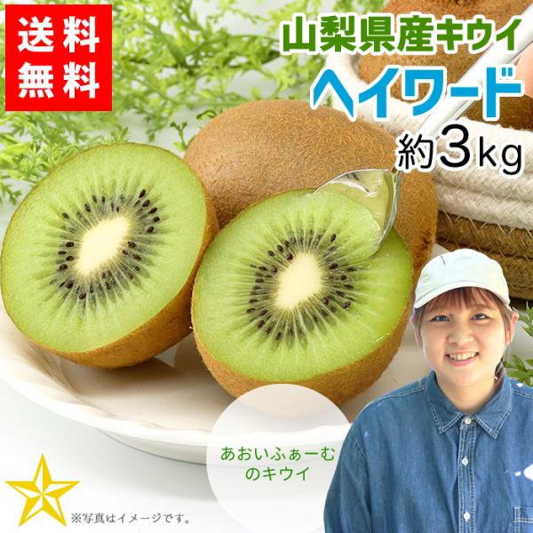 【発売日：2026年11月16日】山梨県産のヘイワードです。鮮やかな緑の果肉と、甘みと酸味のバランスが良い味わいが特徴です。一般的によく見かけるスタンダードなキウイフルーツで、しっかりとした食感とジューシーさを楽しめます。毎日のデザートやフ...