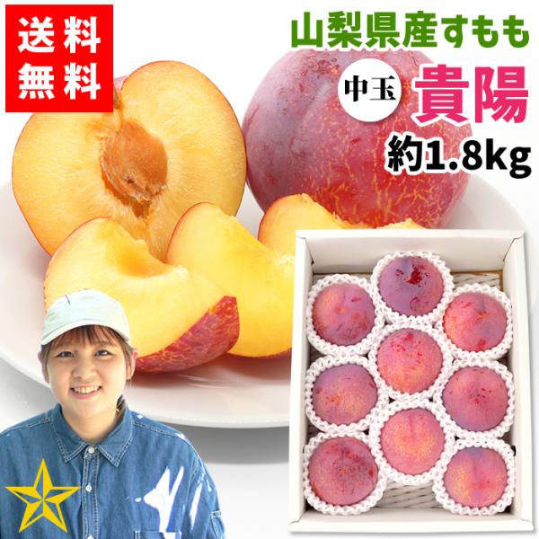 【発売日：2026年07月20日】南アルプス市発祥のすもも貴陽です。酸味が無く濃厚な甘さに驚きます。収穫期間が２週間だけの希少すももです。是非夏の特別な逸品一度お試しください！