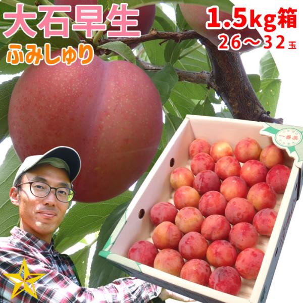 【発売日：2026年06月10日】山梨県東部の日当たりが良く、肥沃な土壌で果物を多く栽培している有名な八代(やつしろ)産です。比較的、穏やかな気候で強い風が吹きにくいため、果物がのびのびと育ちます。シーズン最初に出てくる大石早生（おおいしわ...