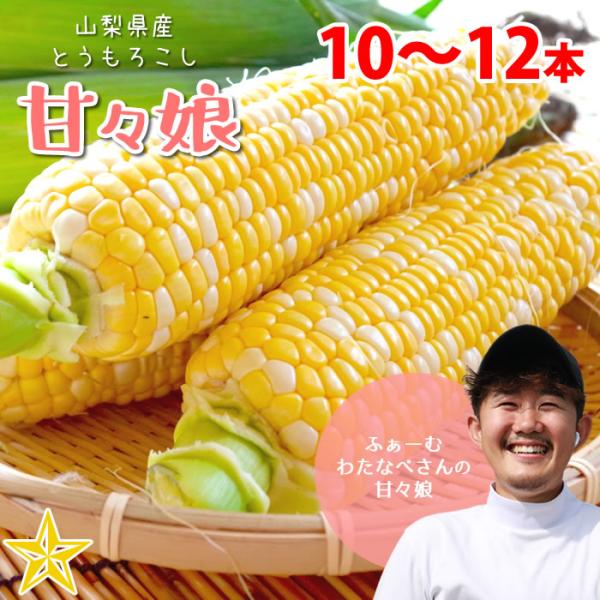 【発売日：2026年06月05日】山梨県西八代郡市川三郷町大塚地区の肥沃な土や寒暖差が育てたスイートコーン『甘々娘』は甘味がメロンと同じぐらいの糖度15度以上で他のとうもろこしと比べ糖度の下がりが遅いので甘い期間が長く粒皮が柔らかいのが特徴...
