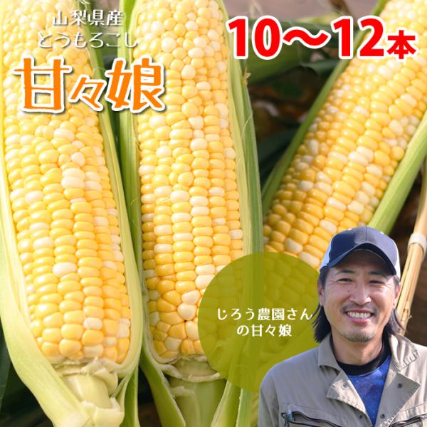 【発売日：2026年06月05日】山梨県市川三郷町旧三珠地区の肥沃な土地が育てたスイートコーン「甘々娘」は、甘みがメロンと同じくらいの糖度15度以上で、他のとうもろこしと比べて糖度が下がりにくく、粒皮が柔らかいのが特徴です。見た目も黄色と白...