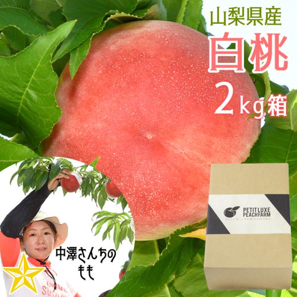 【発売日：2026年07月05日】【農家さんのこだわり】「無農薬の桃をつくりたい」体に良いはずの果樹が、たくさんの消毒の散布を行うことにより生産性やコストの追求などで、「食の安全」がないがしろにされている現状にあり、無農薬の桃を生み出すこと...