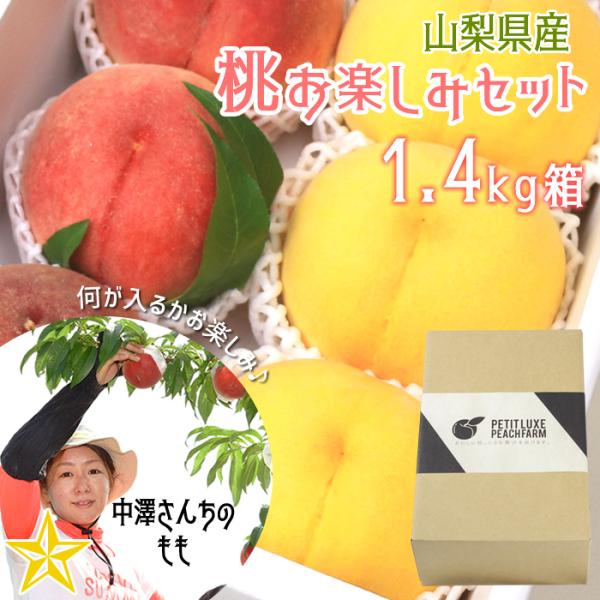 【発売日：2026年07月05日】桃には大きく分けると白桃・白鳳から始まり黄桃・ネクタリン、品種名で分けると実はたくさんの品種があります。桃農家になってから今まで様々な品種を育てる事に挑戦しており、現在は約20品種の桃たちを、丁寧に丁寧に栽...