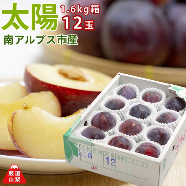 【発売日：2026年08月01日】山梨県で定番の品種「太陽」になります。太陽は、山梨県発祥のスモモの品種です。スモモの中では比較的大きい品種で、やや硬めの果肉で酸味と甘味のバランスがほどよいのが特徴です。こちらのスモモは山梨県南アルプス市か...