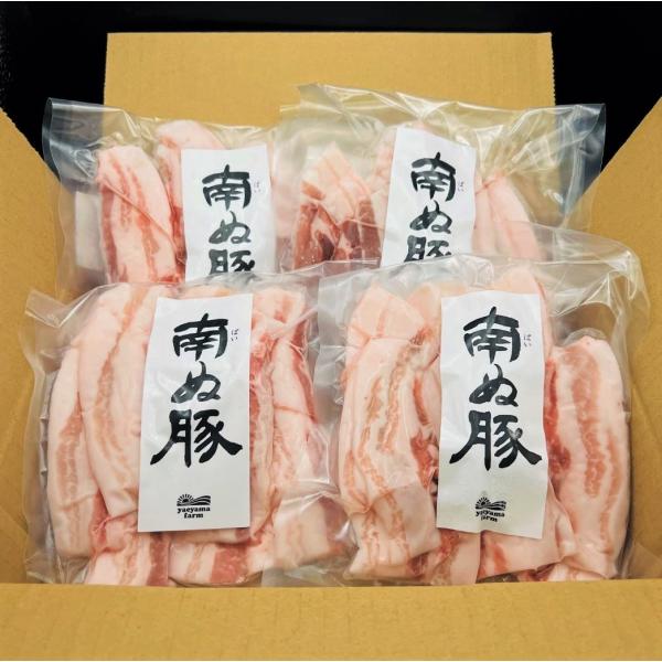 パイナップルの絞り粕を食べて育ったアグー豚(F1種)、希少な「南ぬ豚(ぱいぬぶた)」切り落としだから、訳あり商品としてお買い得価格！！ご家庭でも使いやすい250gの小分けパックとなっております。沖縄県石垣島より産地直送致します。脂身がこんな...