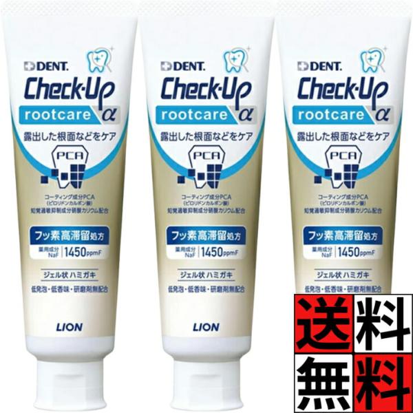 送料無料 チェックアップ ルートケア 歯磨き粉 ジェル 研磨剤 ライオン歯科材 知覚過敏 歯ぐき ライオン フッ化物 配合 低発砲 フッ素 虫歯 むし歯 口腔内 90g