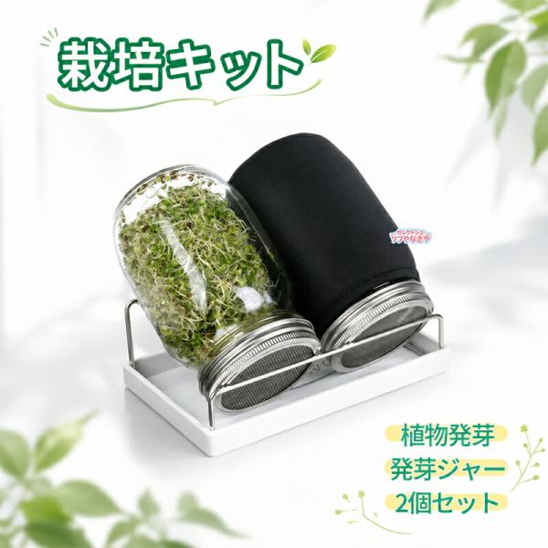 【ガラス本体サイズ】約 直径10cm × 高さ17cm【トレイサイズ】約 23cm × 17cm【セット内容】ガラス本体 × 2個ステンレス蓋 × 2個トレイ × 1個スタンド × 2個遮光スリーブ × 2個種子は付属しておりません。関連キ...