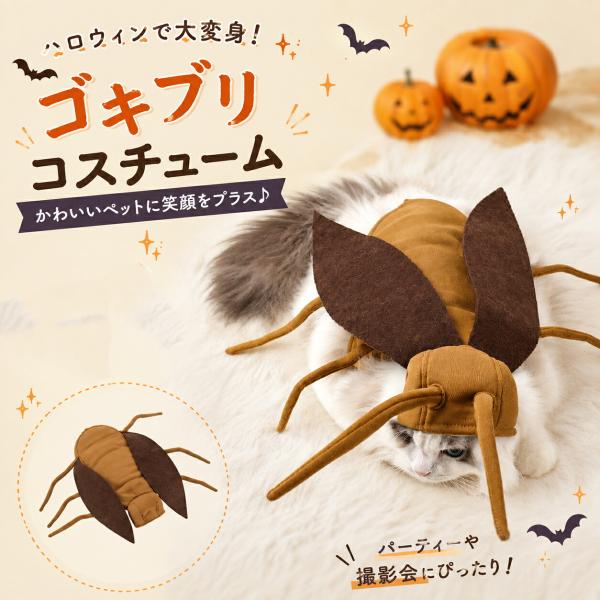 カラー ブラウン注意事項 製品更新により、予告なしで同じ商品がデザイン、色若干変わる場合がございますので、予めご了承下さい。撮影の為、画質等の関係上、色などが実際の商品と若干違ってしまうこともあるかもしれませんがご理解のほどご購入ください。...