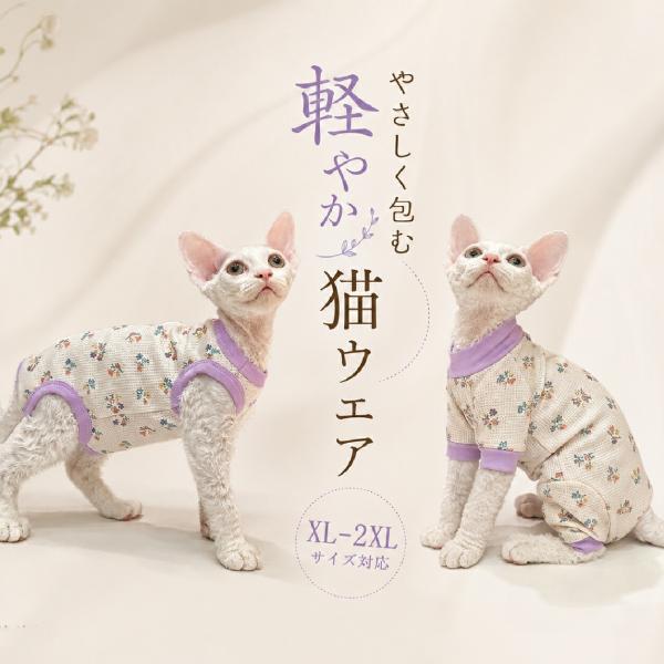 素材 ポリエステル生産国 MADE IN PRCサイズ XS〜XXLセット内容 キャットウエア注意 製品更新により、予告なしで同じ商品がデザイン、色若干変わる場合がございますので、予めご了承下さい。撮影の為、画質等の関係上、色などが実際の商...
