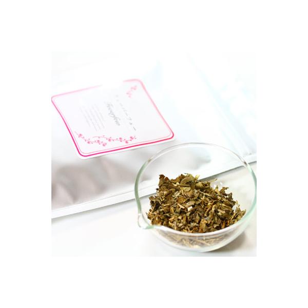 フィーバーフュー茶 夏白菊茶 ナツシロギク茶 なつしろぎく茶 フィーバーフー 効果 ハーブティー お茶 feverfew 飲み方 マトリカリア パセノライド パルテノライド