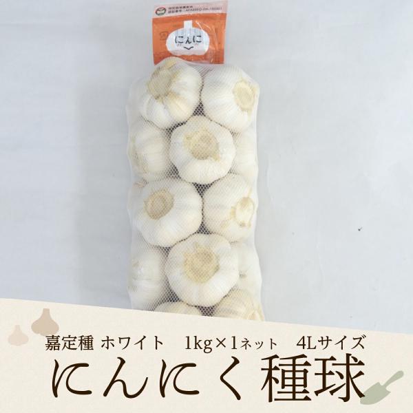 【ご注意】※種としてもご利用できますが、新物収穫後（5月〜6月）から8月中旬頃までは休眠期間のため休眠打破の処理をしないと発芽しません。※安全な低温管理による芽止めをしていますが、 配送中の温度差による、結露・カビ・発芽などが発生する場合が...