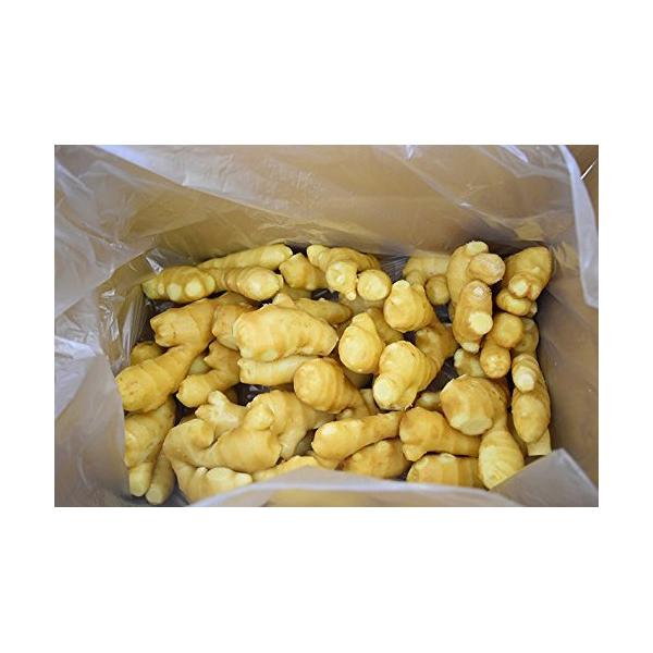 中国産生姜の特徴：中国産大生姜。果肉が黄色で根茎は肥大良好の近江生姜。繊維質が多く、辛味が強いのが黄金生姜の特徴。すりおろすと、鮮やかな黄色で冷奴などに乗せると映えます。さわやかな香りと清涼感のある辛味が特徴で、魚や肉の臭み消し、麺類や豆腐...