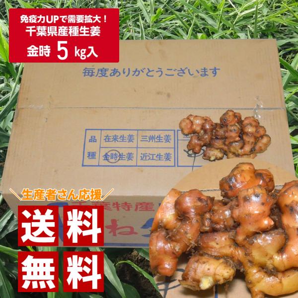 【発売日：2019年03月20日】赤芽、小生姜。日本独自の品種で希少価値の高い生姜。三州生姜と比べてもやや小ぶりで、香りと辛味が大変強いのが特徴。 香りの成分ガラノラクトン、辛味成分ショーガオール、ジンゲロールが一般の生姜の4倍以上含まれて...
