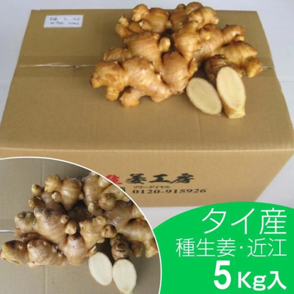 タイ王国中部のペチャブーン原産の近江生姜。 果肉が白色で最も国産近江生姜に近い品種です。 辛味・風味ともに強く、繊維質は少ないのが特徴で、発芽率が高く、耐病性に優れている。関東地区（千葉、茨城、栃木）での近江生姜栽培の主流品種。種生姜として...