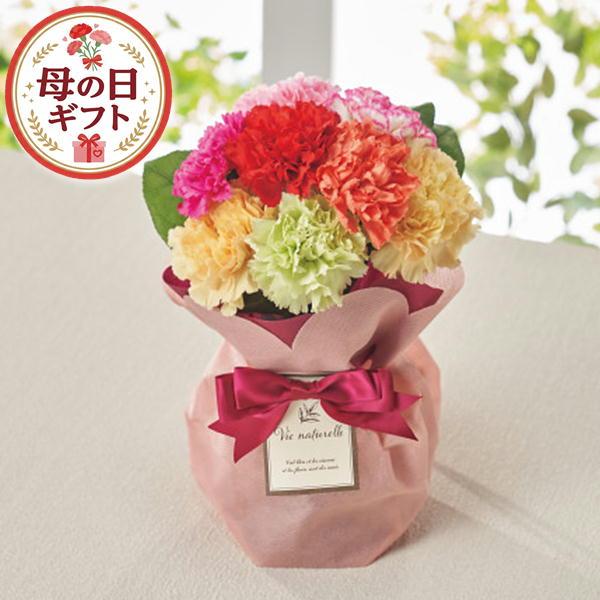 【発売日：2024年05月06日】母の日に贈りたい、7色のカーネーションを束ねた華やかなスタンディングブーケです。ラッピングを外さずそのまま飾れるため、花瓶いらずで手軽に楽しめるのが魅力。色とりどりのカーネーションが明るく彩り、お母さんの気...